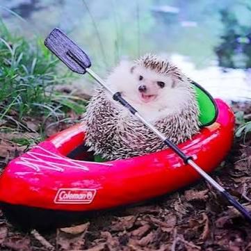 Иконка канала RandomWay