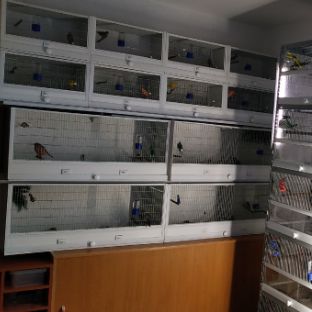 Иконка канала Лёха. Любитель птиц.