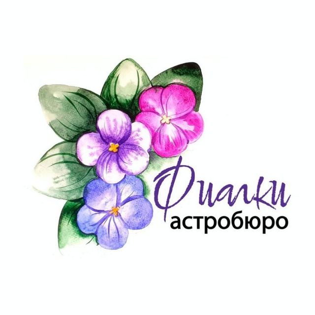 Иконка канала ФИАЛКИ-Философ, Интеллект, Астро Клуб И не только.
