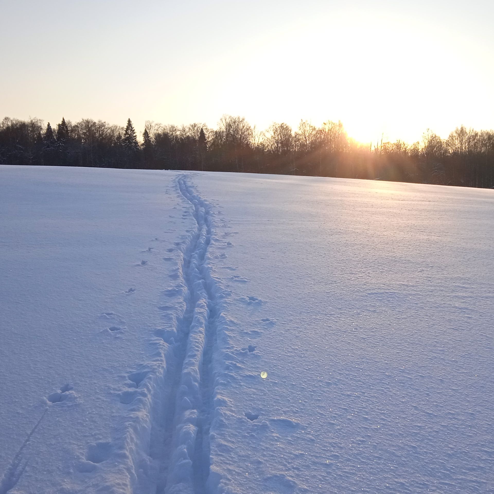 Иконка канала Мужские игры