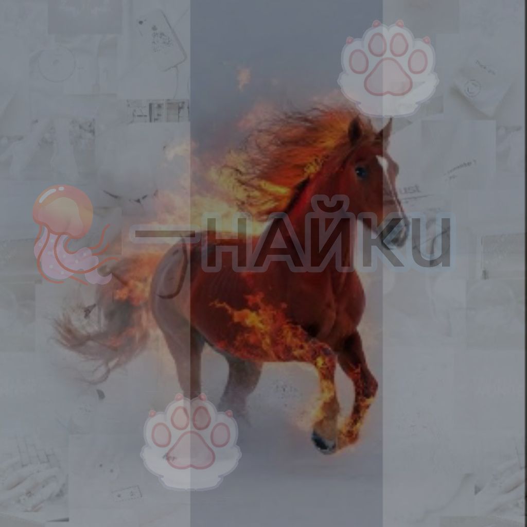 Иконка канала 🪼—нᴀйᴋu/\🪼—ɴᴀʏᴋᴜ