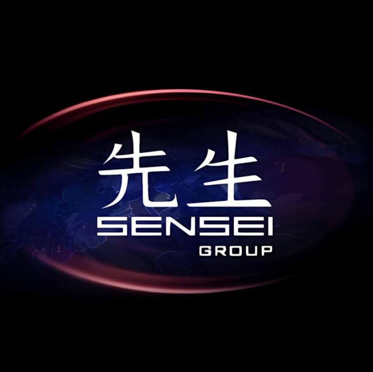 Иконка канала SENSEIGROUP