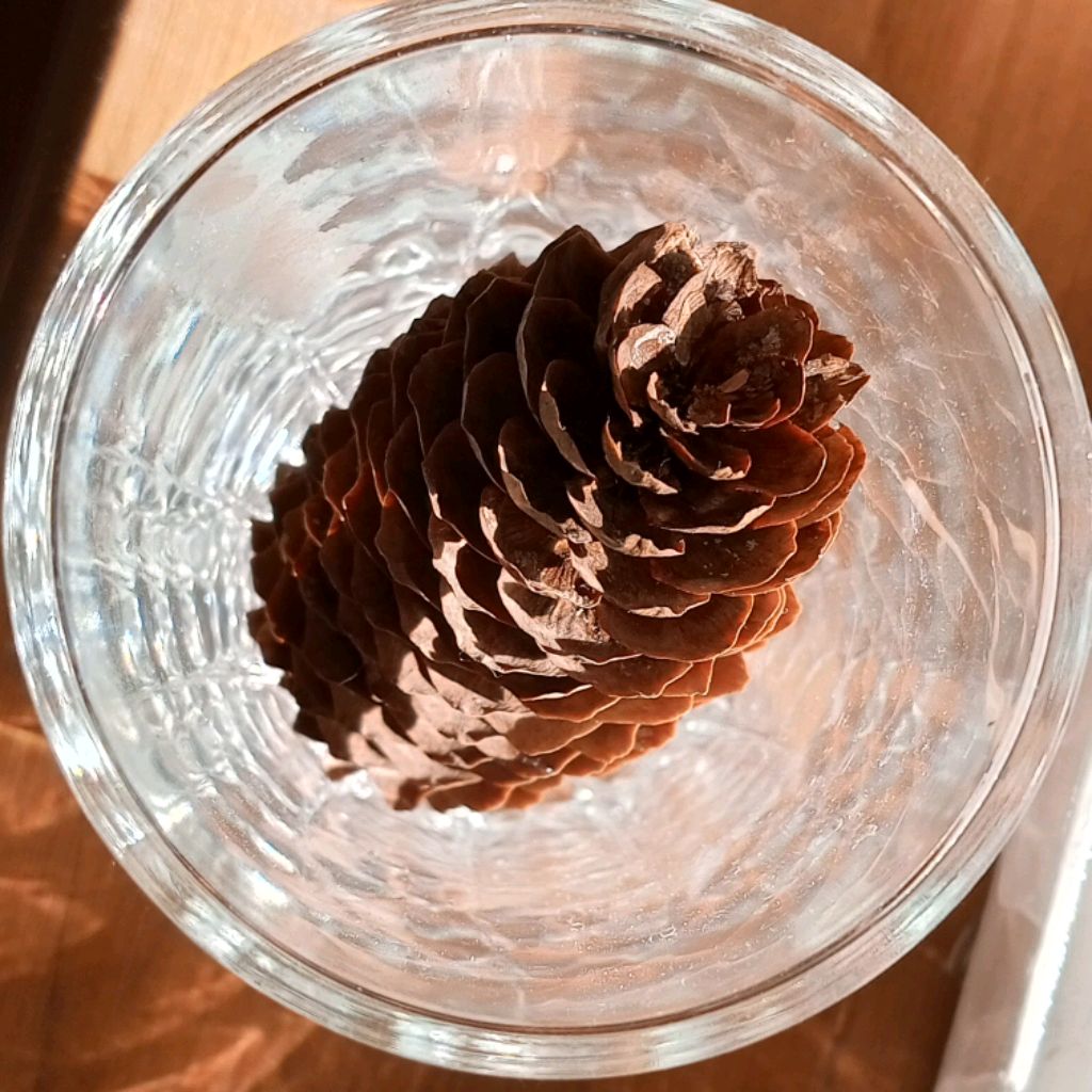 Иконка канала ixmz