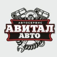 Иконка канала Витал Про Моторс