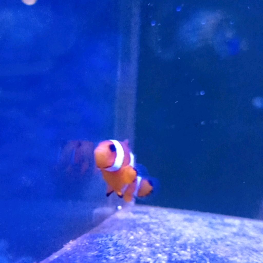 Иконка канала Супер КАТИК