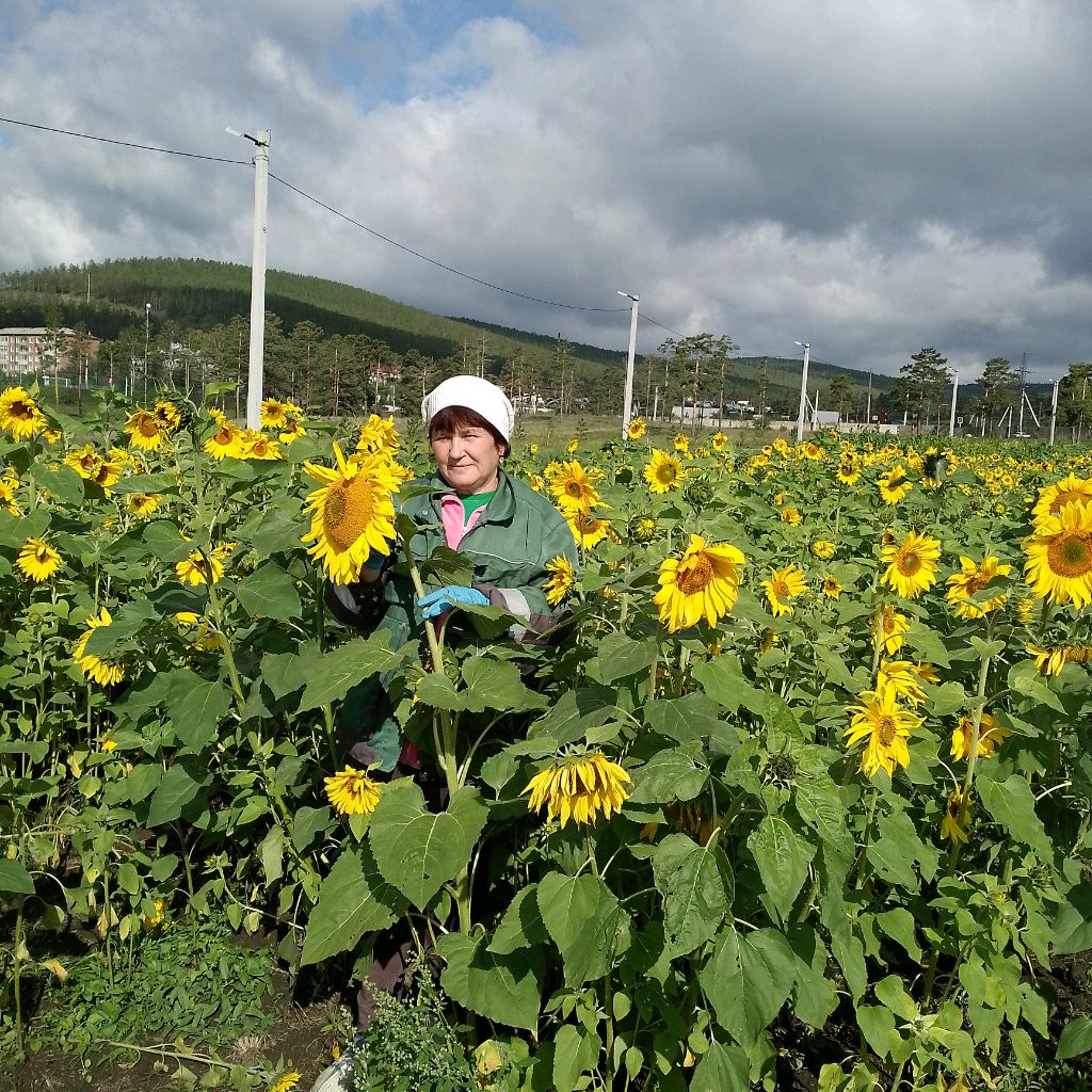 Иконка канала channel41050852