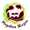 Иконка канала Семейная пасека Медовая Жизнь