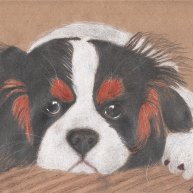 Иконка канала VIDEOROLIK60