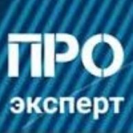 Иконка канала ПРОЭКСПЕРТ