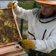 Иконка канала Семейная пасека Гафаровых