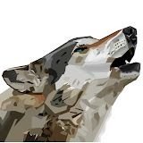 Иконка канала Русские тайны