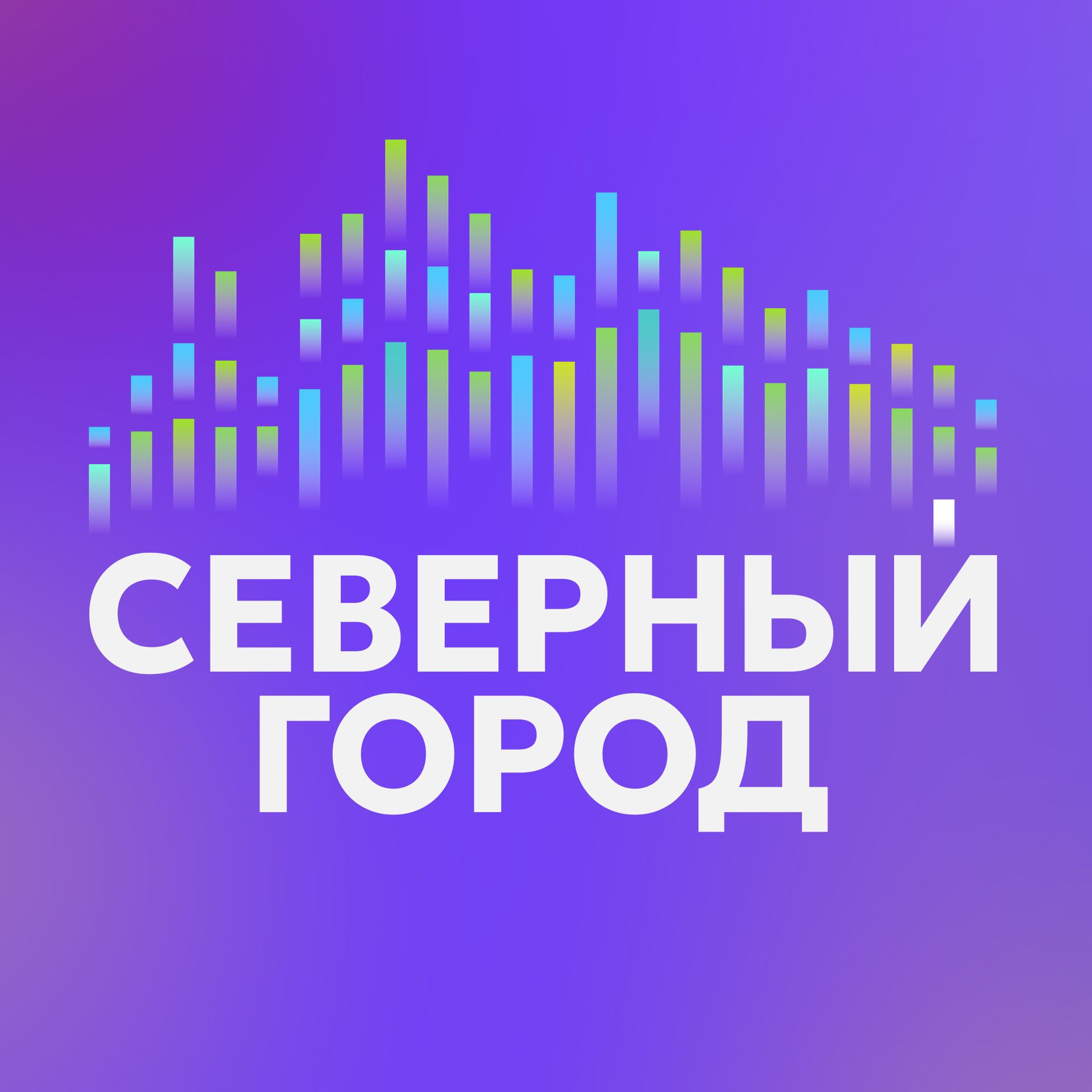 Иконка канала Телеканал «Северный город»