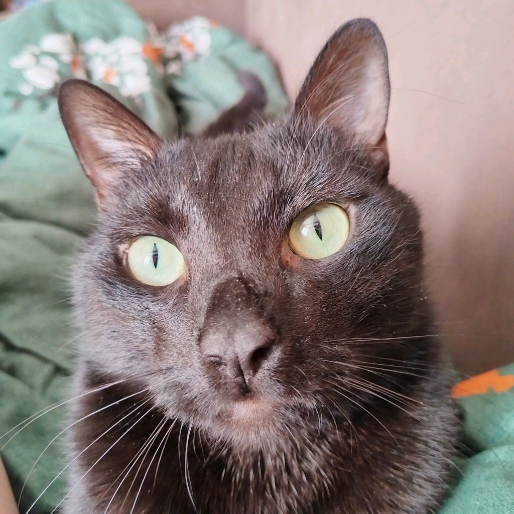 Иконка канала Юльчик)))