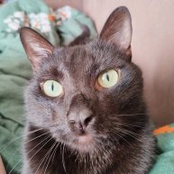 Иконка канала Юльчик)))