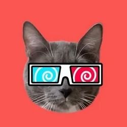 Иконка канала I'mKotiynetFan