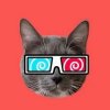Иконка канала I'mKotiynetFan