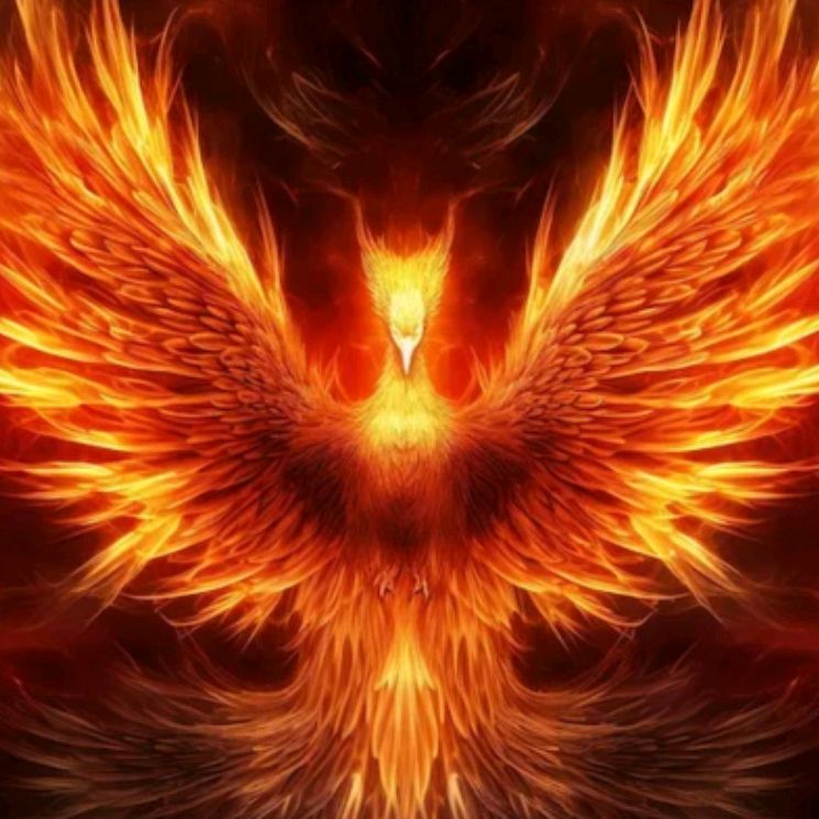 Иконка канала FENIKS