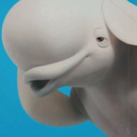 Иконка канала Твой Кинотеатр