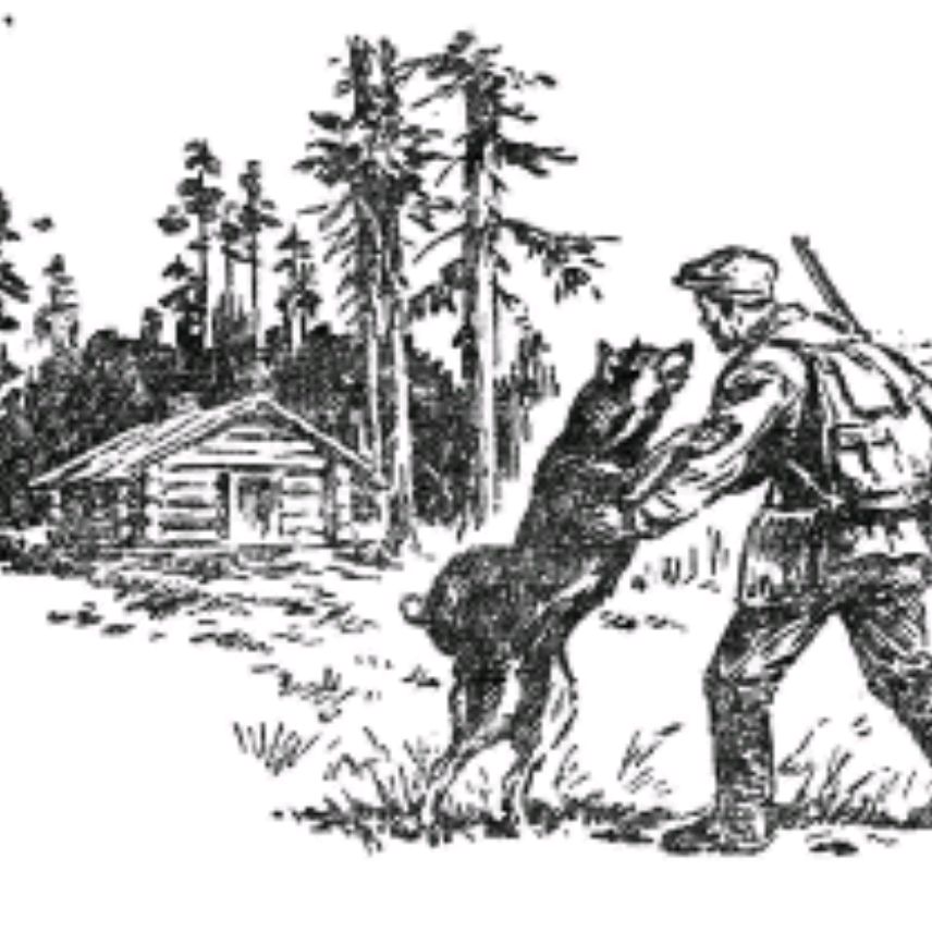 Иконка канала ТАЙГА 44