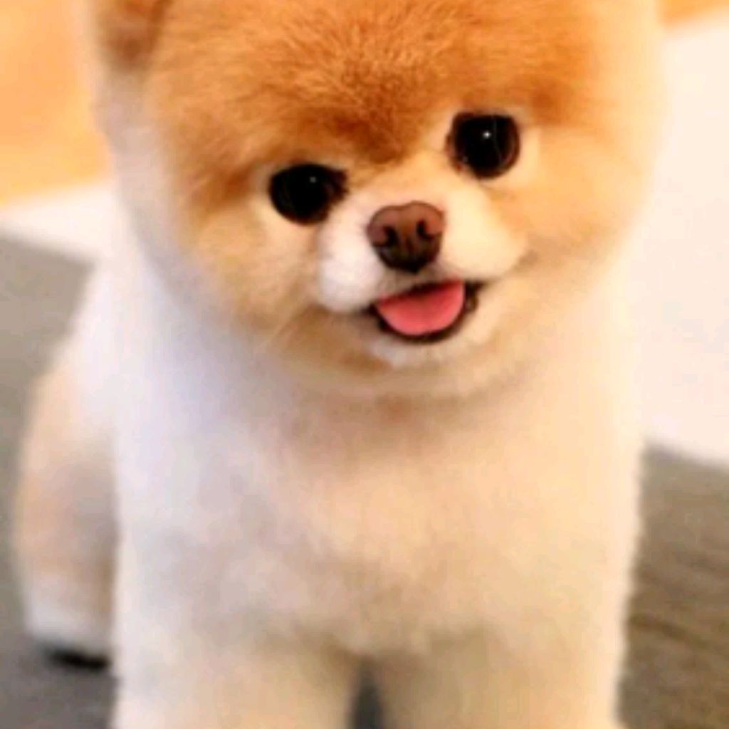 Иконка канала Milka