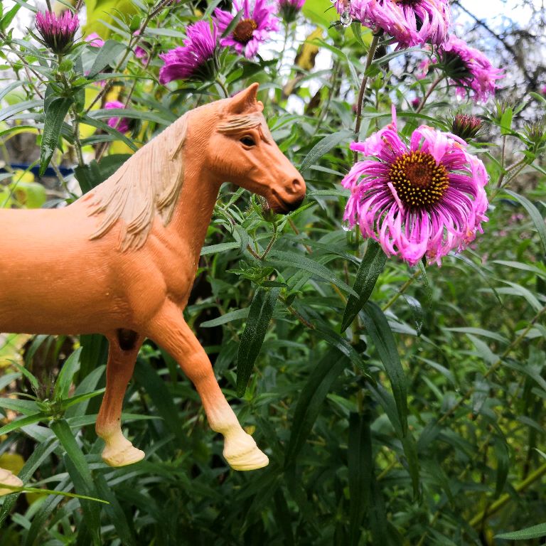 Иконка канала Love Horses 🌹