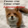 Иконка канала Лиса Разный Видео🦊