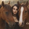 Иконка канала Stories of my equestrian life