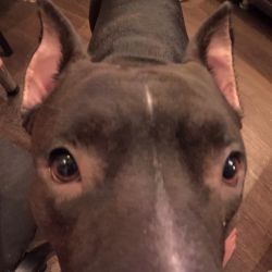 Иконка канала Tim life OFFICIAL