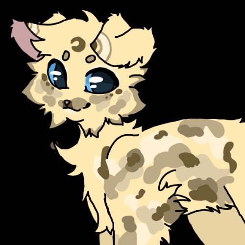 Иконка канала ﹤~quail_кв~﹥