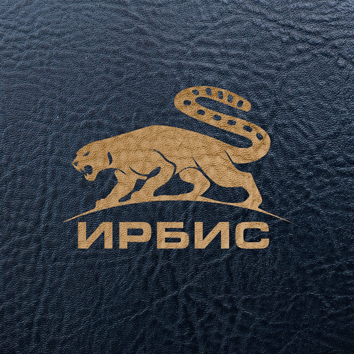 Иконка канала ИРБИС Стрим