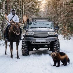 Иконка канала Wolverine