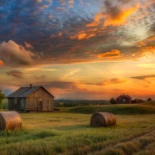 Иконка канала Пора Домой