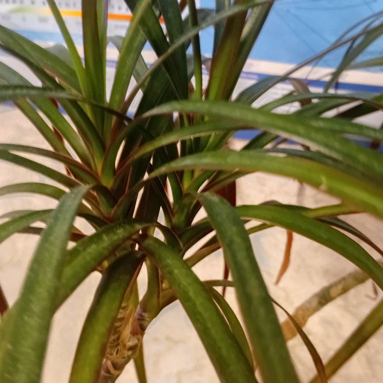 Иконка канала Аня