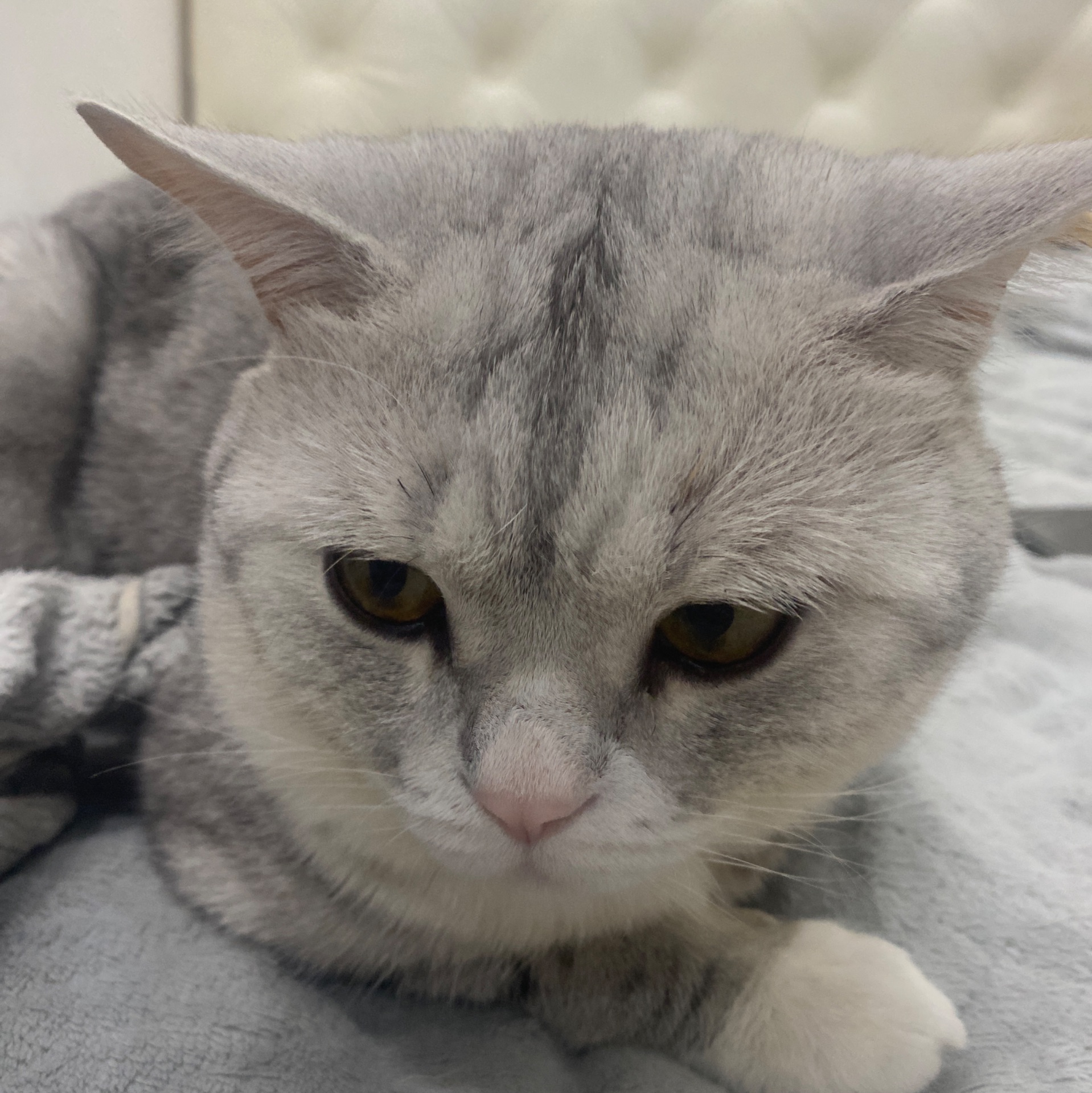 Иконка канала 🎬2 продакшн 3🎬