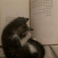 Иконка канала Аня просто Творит помоги.......