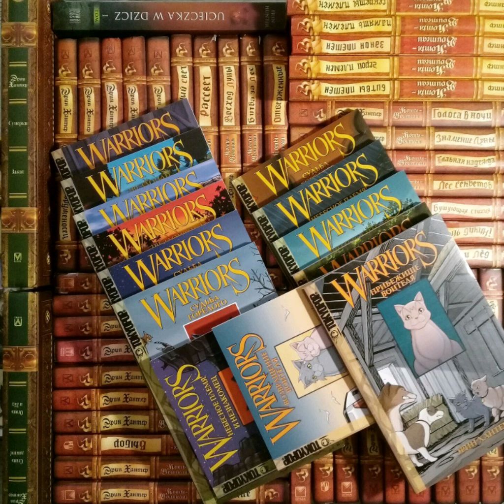 Иконка канала Warrior Cats