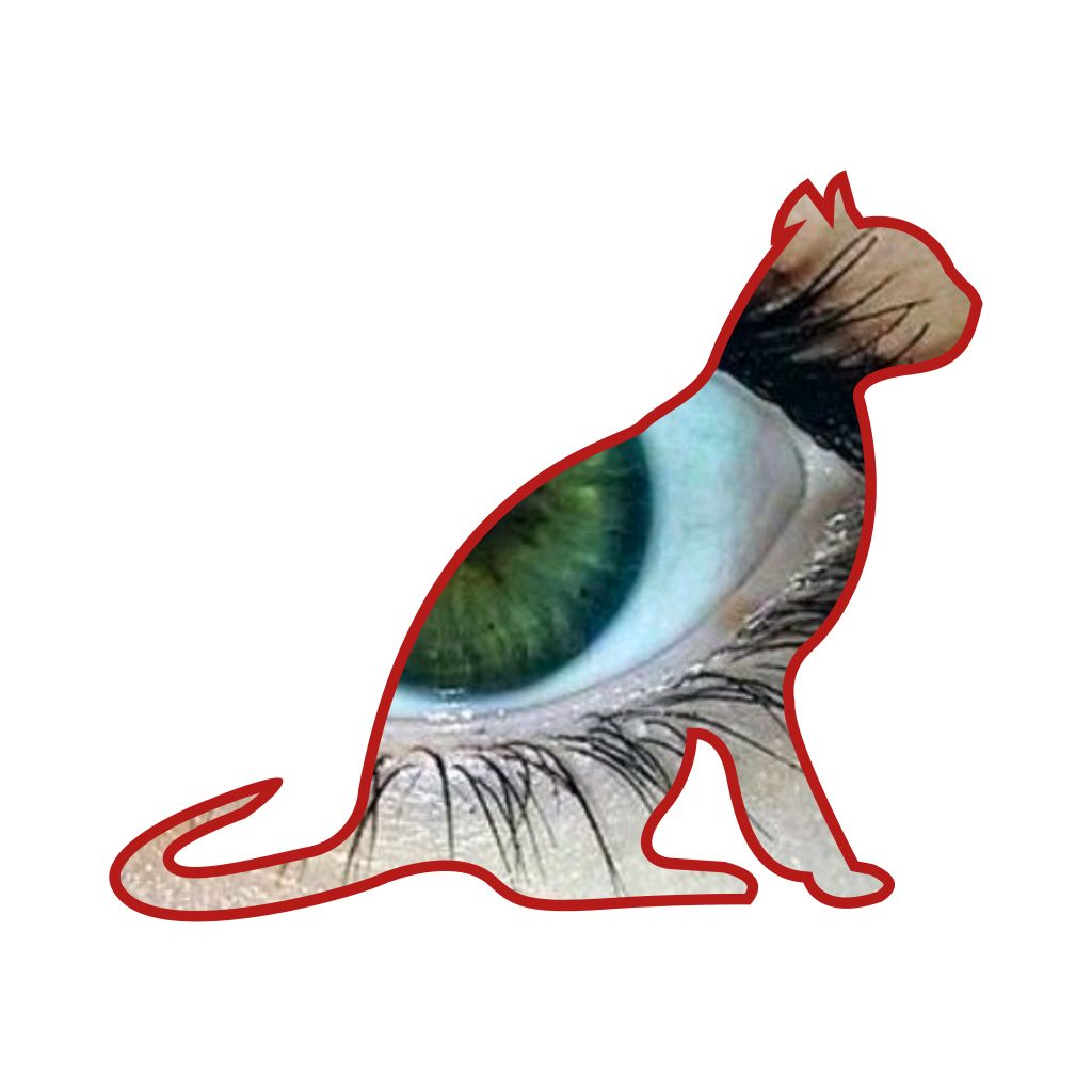 Иконка канала DariZari