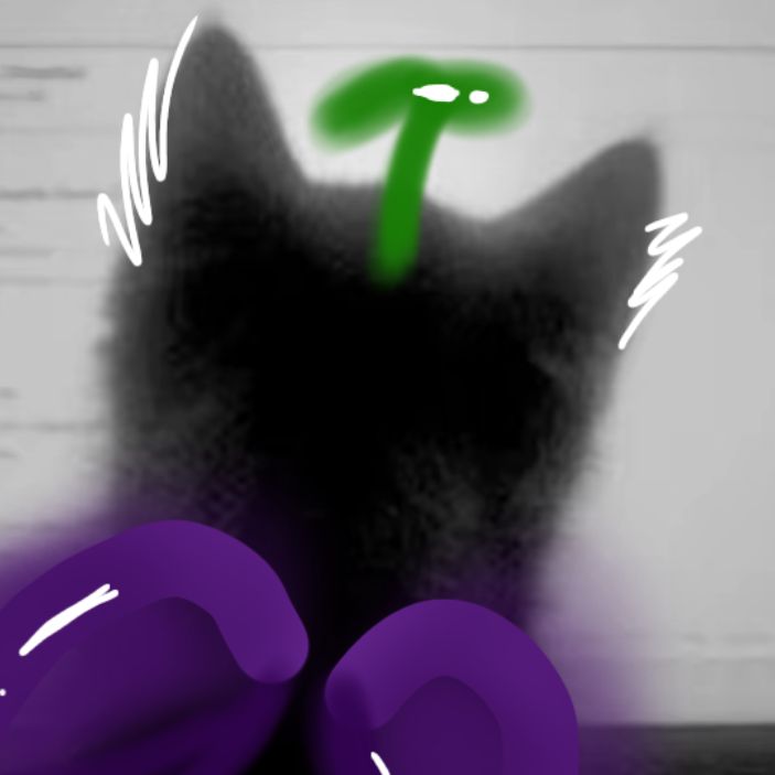 Иконка канала Cat_228