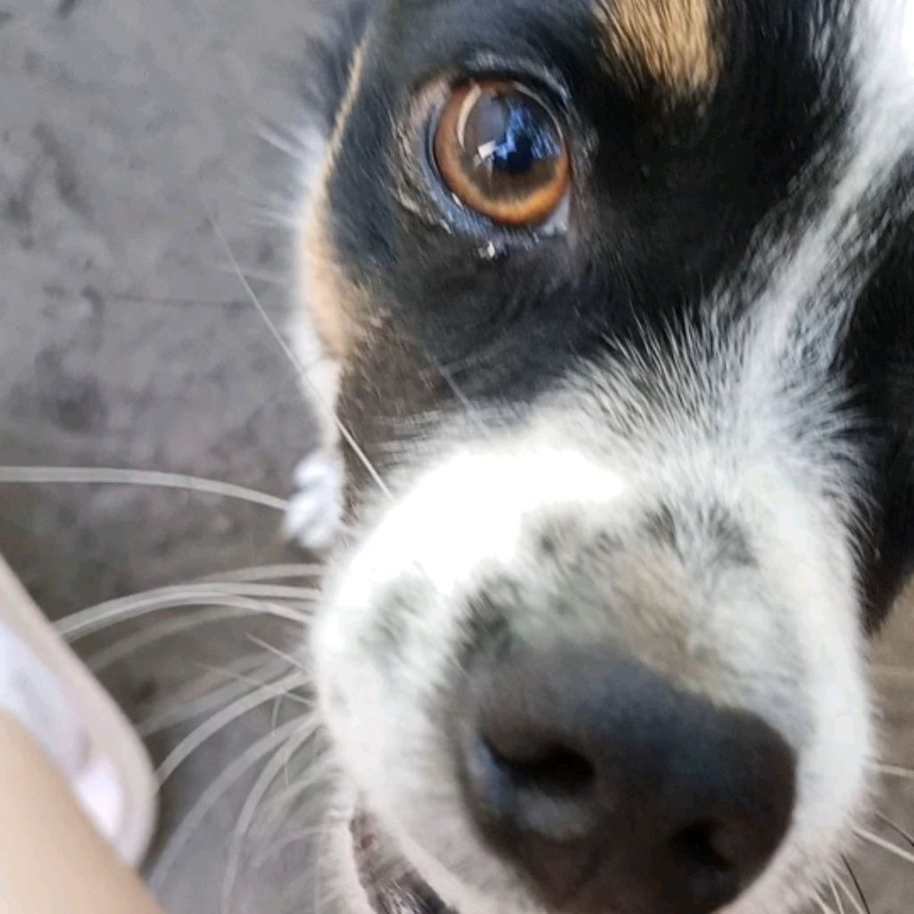 Иконка канала Мариша