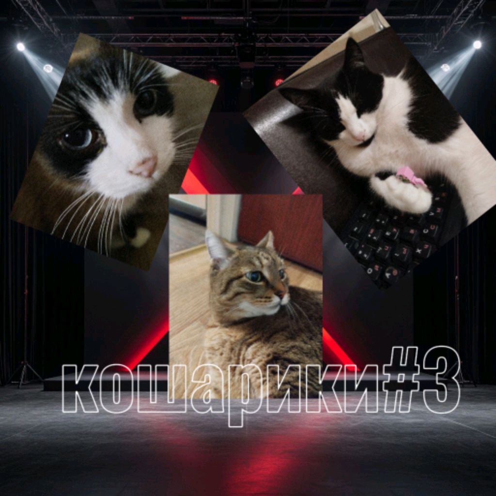 Иконка канала Кошарики #3