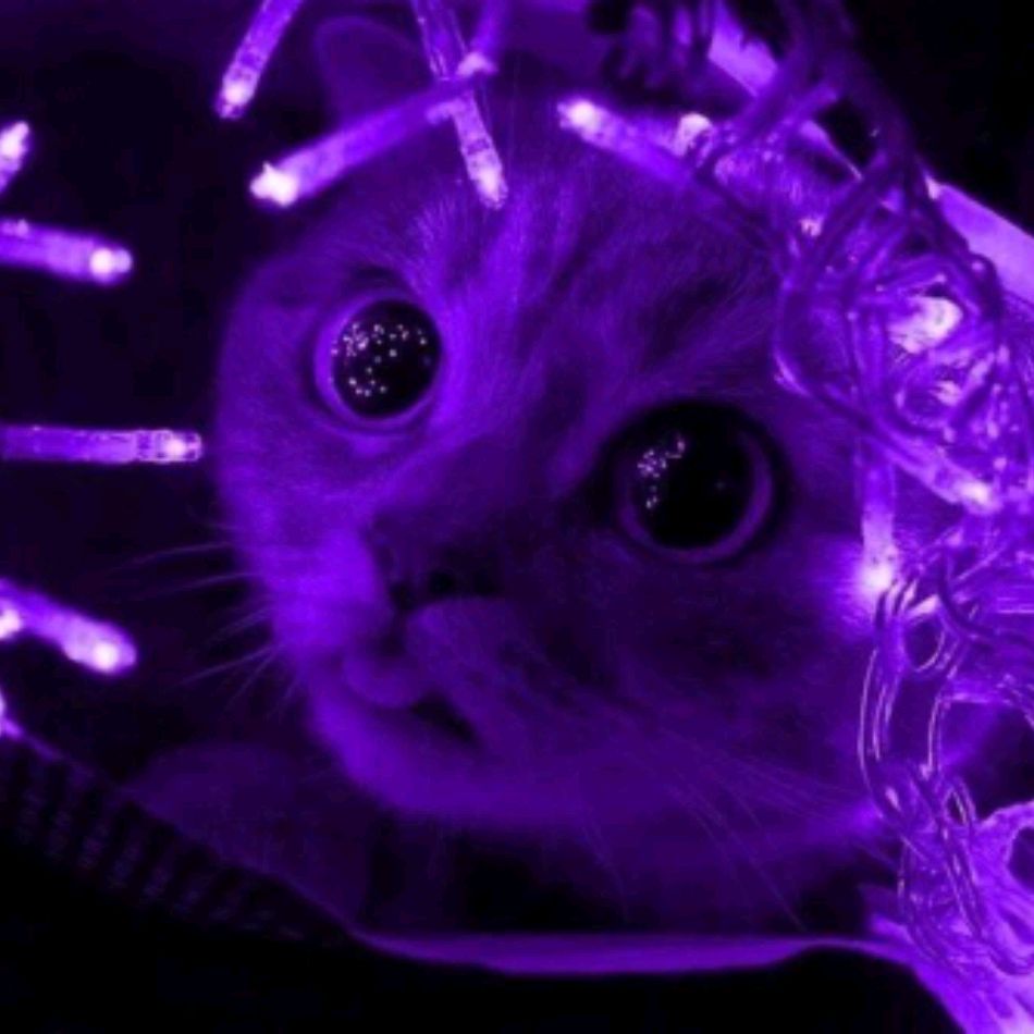 Иконка канала Vika