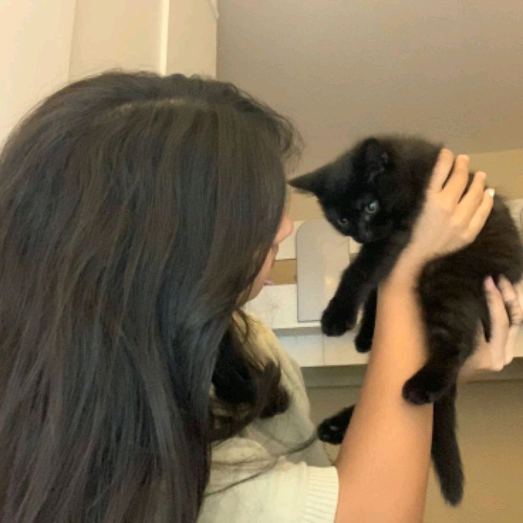 Иконка канала ПЛАТЬЯ В АРЕНДУ | КМВ