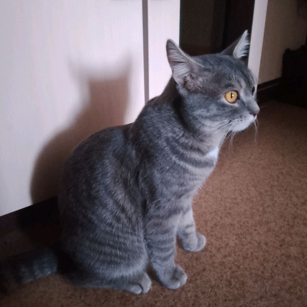 Иконка канала 7:21