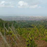 Иконка канала Винодельня Юга России