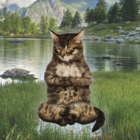 Иконка канала dami 2am