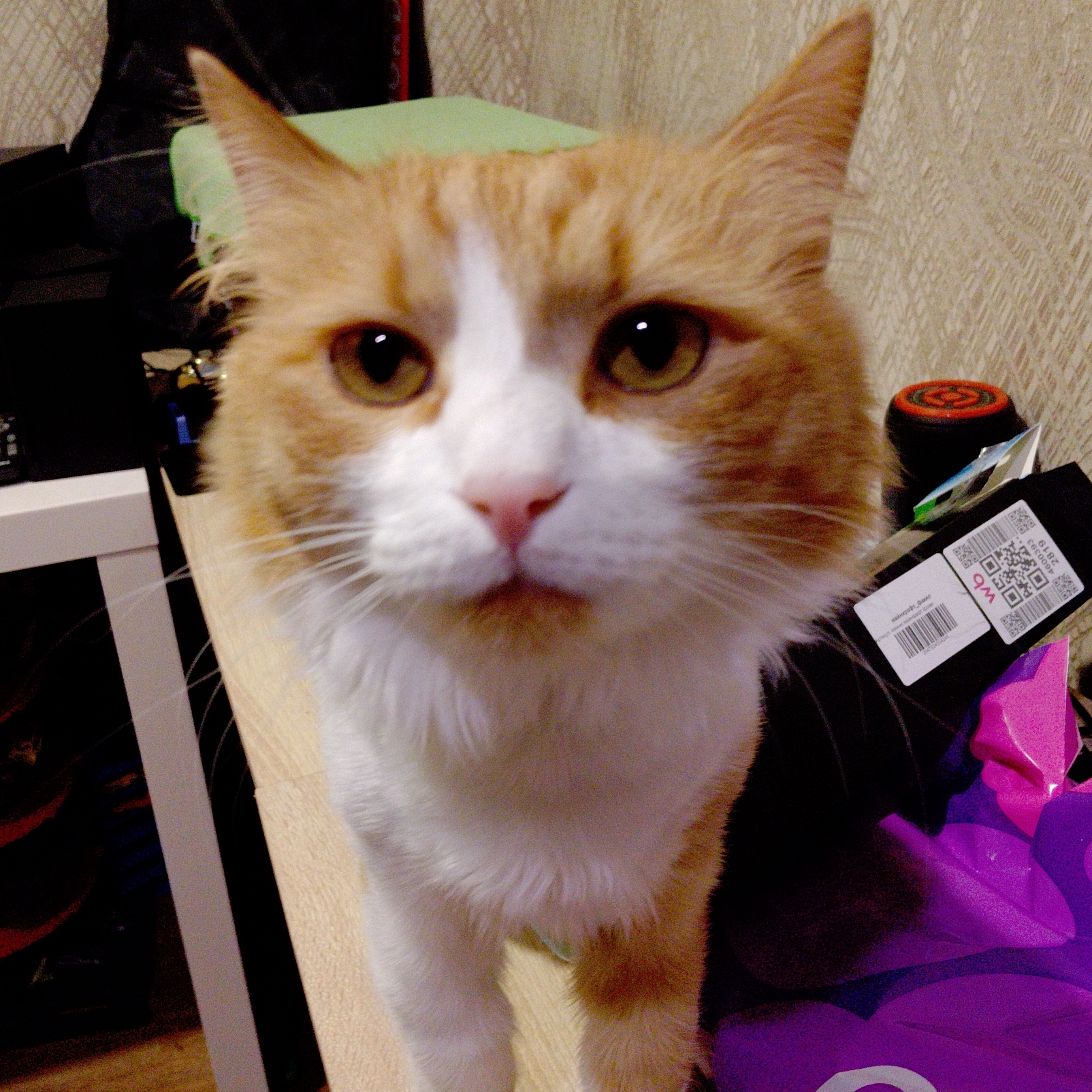 Иконка канала рыжий строитель