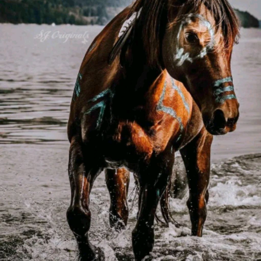 Иконка канала ⭐★𝖅𝖛𝖊𝖟𝖉𝖓𝖞𝖞~𝖕𝖚𝖙!☆🌙