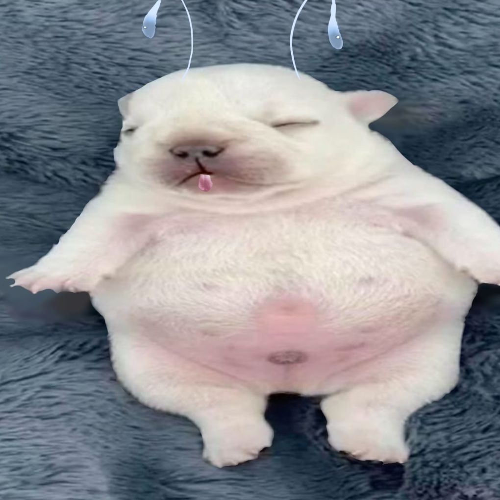 Иконка канала Pibble Aero:3