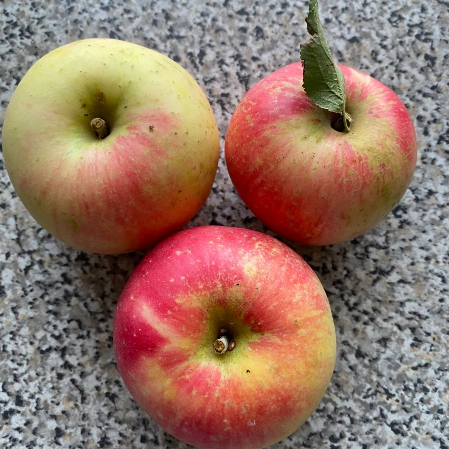 Иконка канала Эва Шервуд ♫