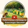 Иконка канала Любительское пчеловодство Александра Киселёва